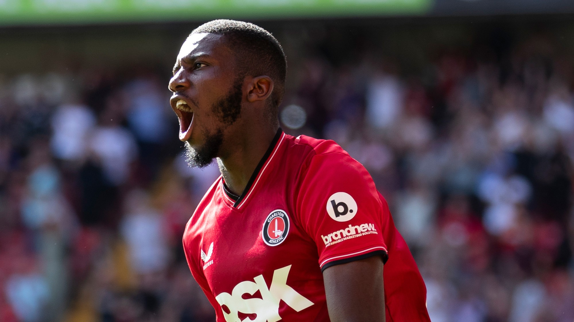 Daniel Kanu named in Sierra Leone squad | Charlton Athletic Football Club